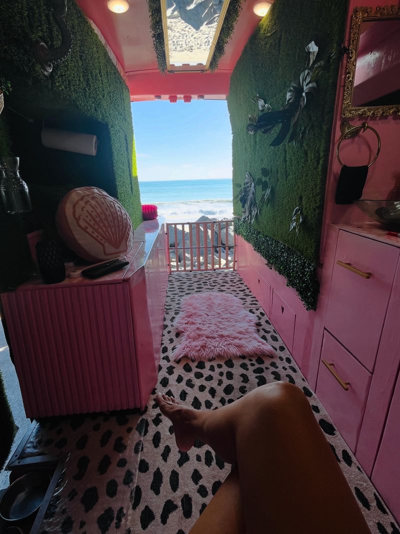 Camper Van For Sale: Pink Camper Van | 2018 Ford Transit 350 XLT | Sal