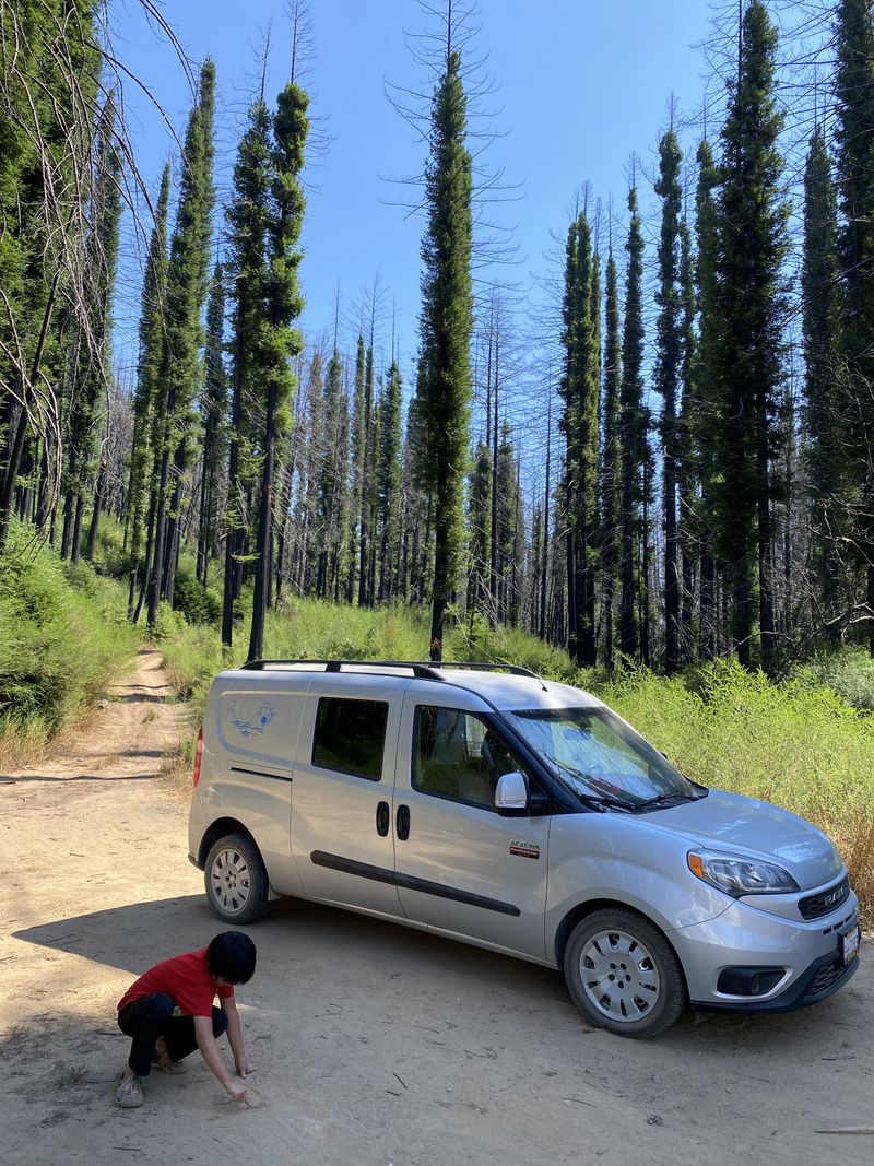 Camper Van For Sale: 2019 Promaster City Camper