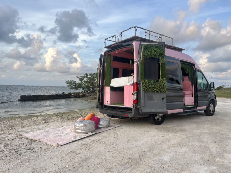 Camper Van For Sale: Pink Camper Van | 2018 Ford Transit 350 XLT | Sal